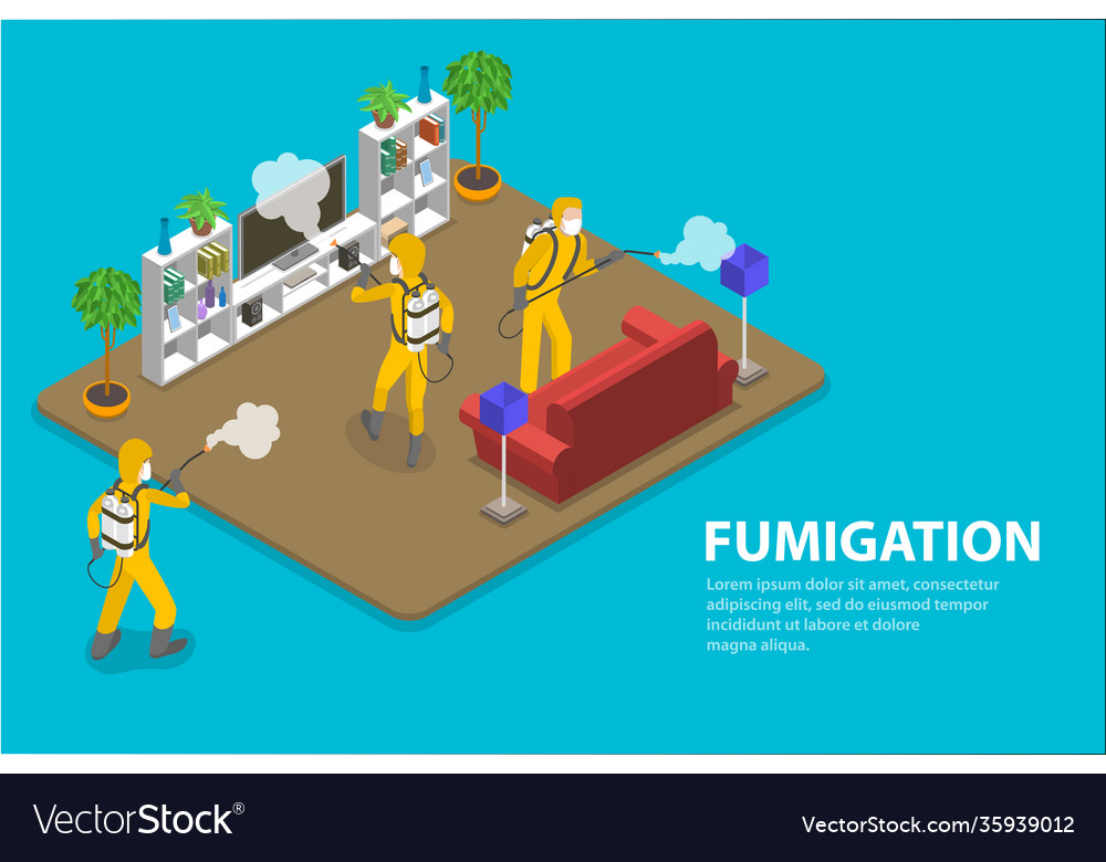 3d isometric flat conceptual Royalty Free Vector Image