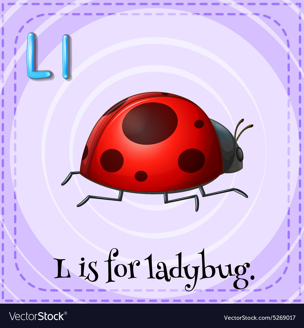 Ladybug Royalty Free Vector Image - VectorStock