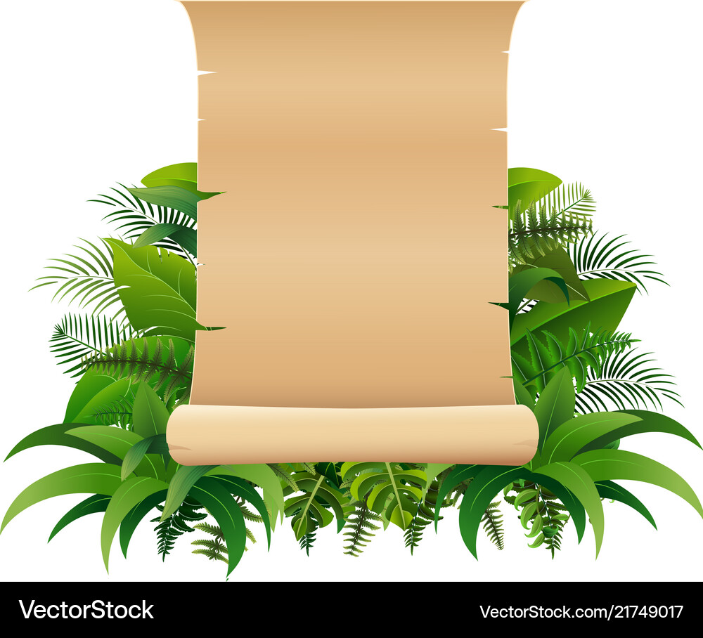 Old rolled up paper scroll on the leaves Vector Image