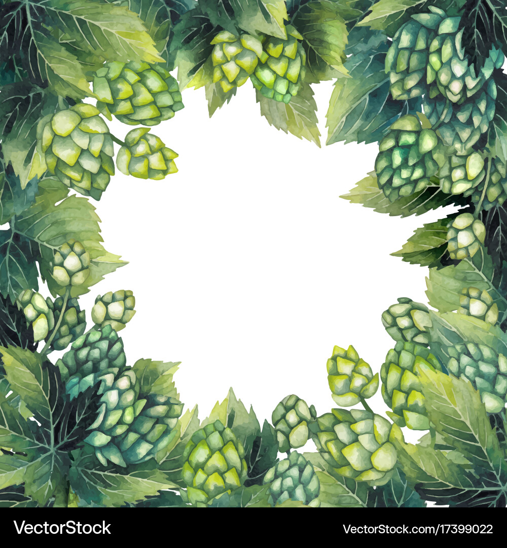 Watercolor hop design Royalty Free Vector Image