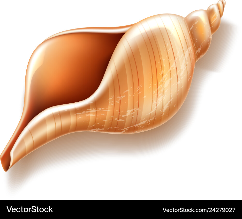 Pearl seashell mother shell luxury sign Royalty Free Vector