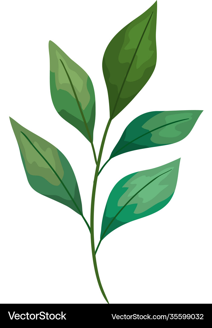 Branch with green leafs plant ecology icon Vector Image