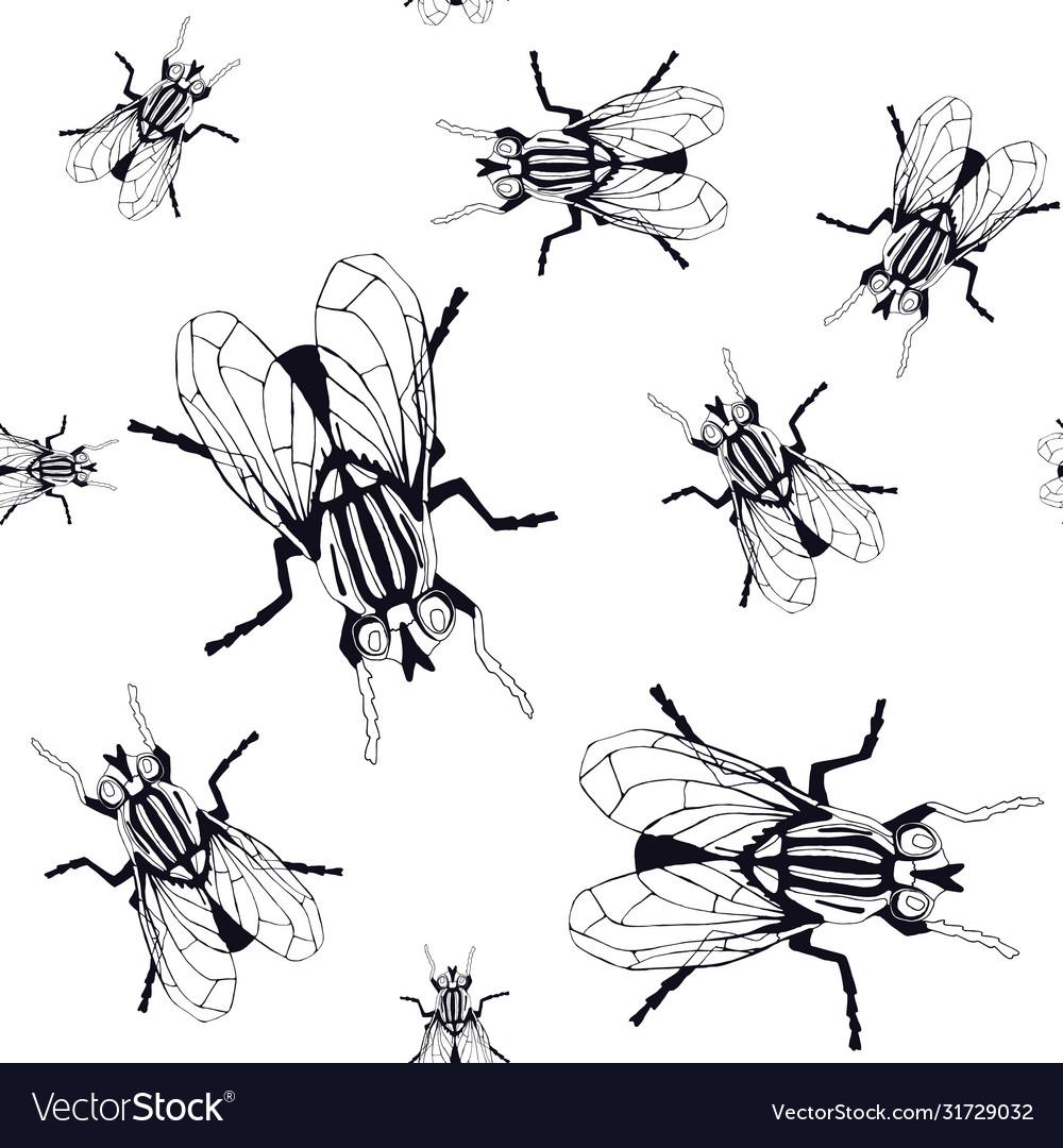 Seamless pattern with image flies Royalty Free Vector Image