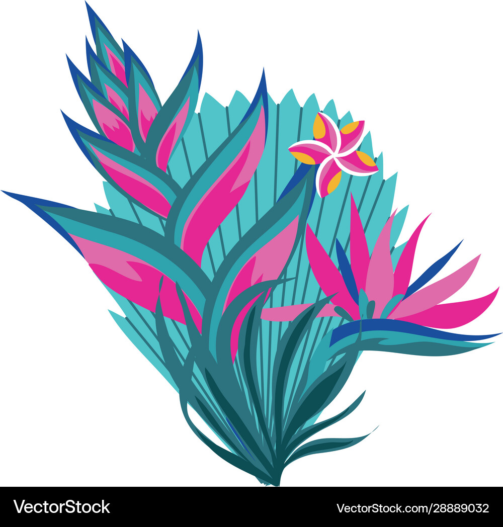 Tropical heliconia and leafs exotic plant Vector Image