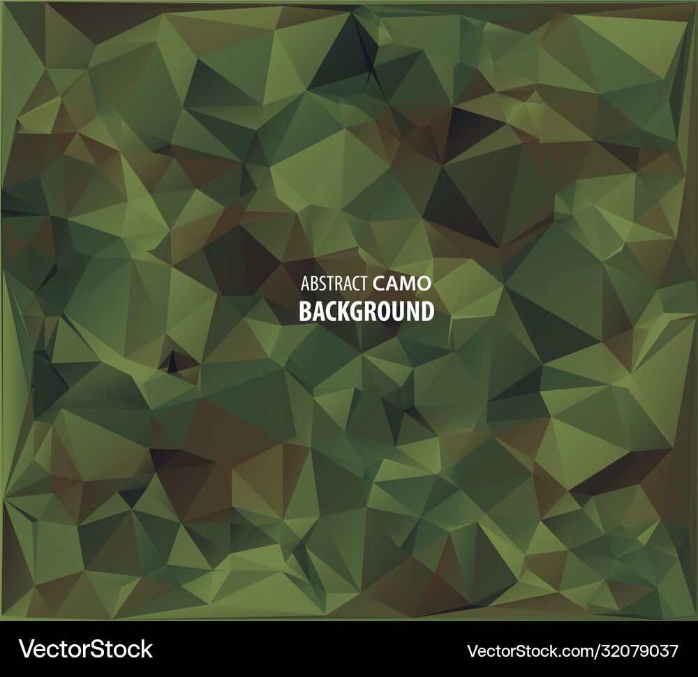 Abstract military camouflage background made Vector Image