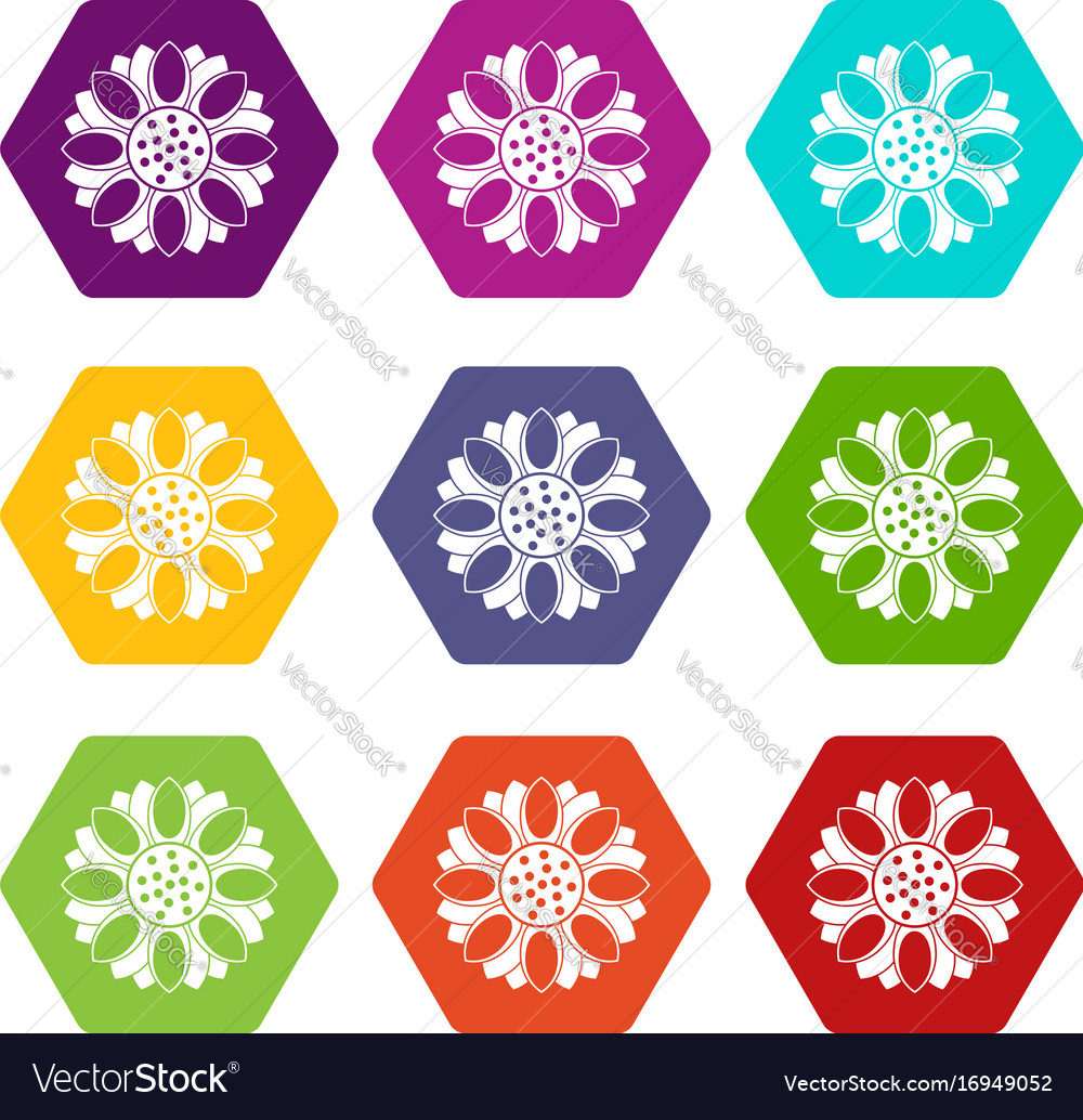 Flower icon set color hexahedron Royalty Free Vector Image