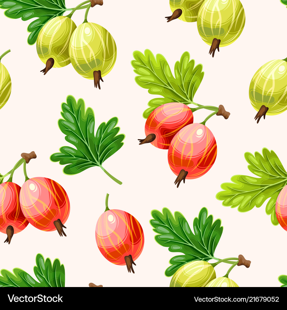 Seamless pattern with green and pink gooseberry Vector Image
