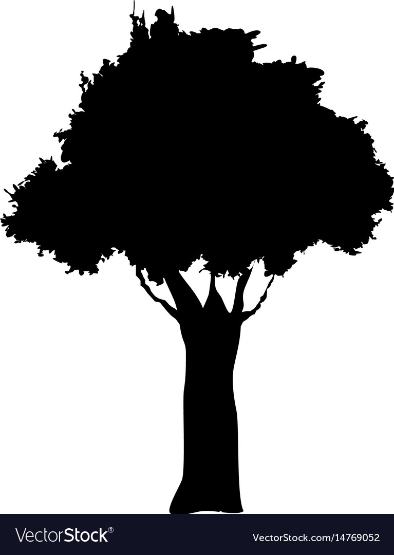 Tree foliage trunk branch image Royalty Free Vector Image