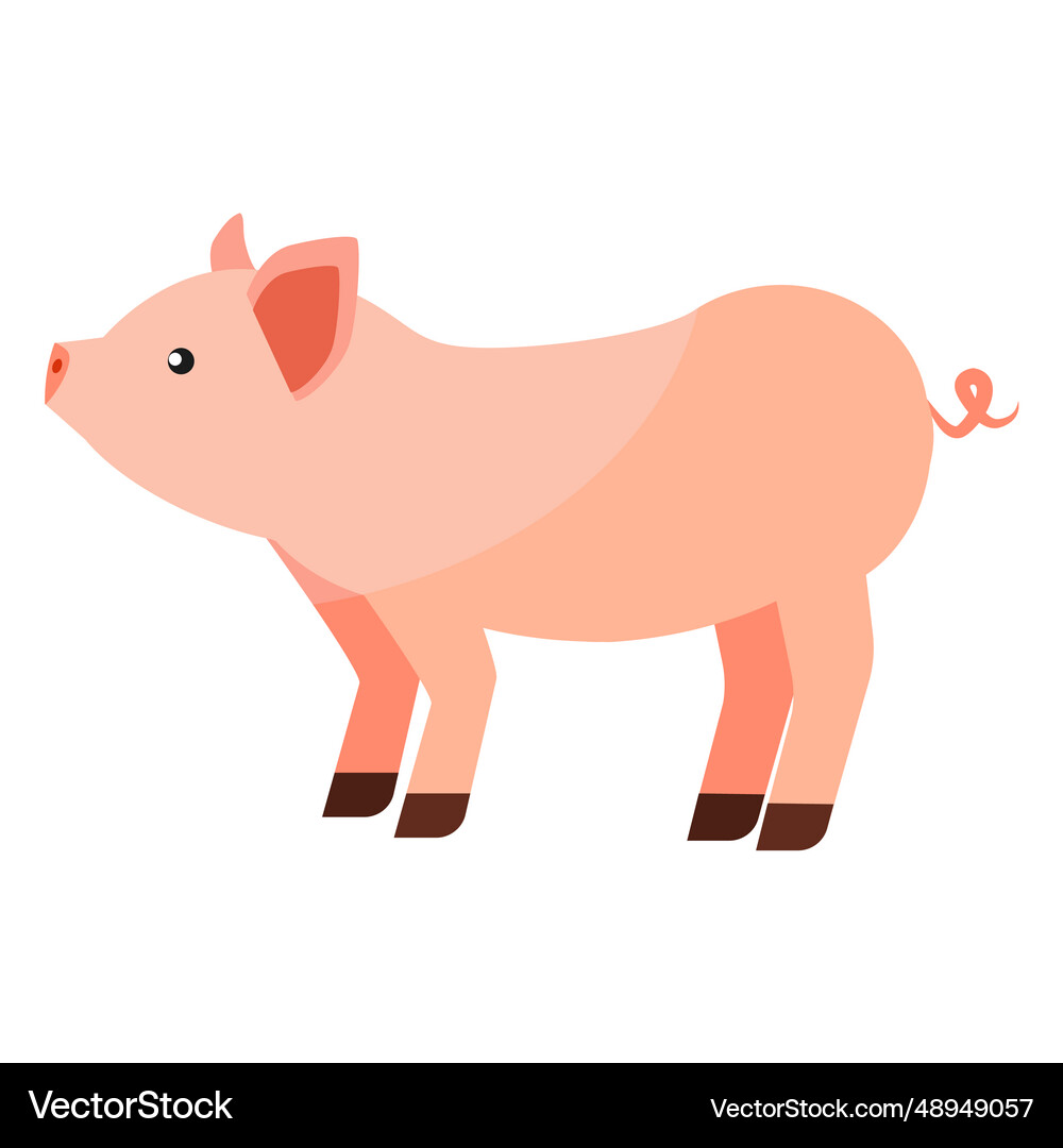 Pig snout hoof ear flat Royalty Free Vector Image