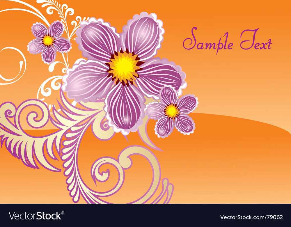 Floral document Royalty Free Vector Image - VectorStock