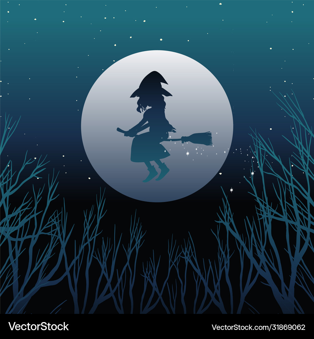 Witch or wizard riding broomstick in silhouetteon Vector Image