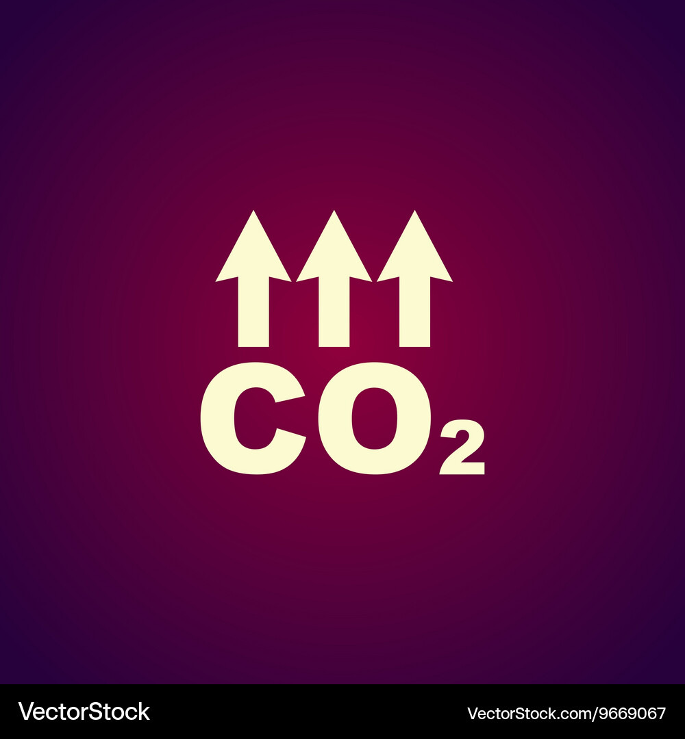Chemistry sign co2 carbon dioxide icon Royalty Free Vector