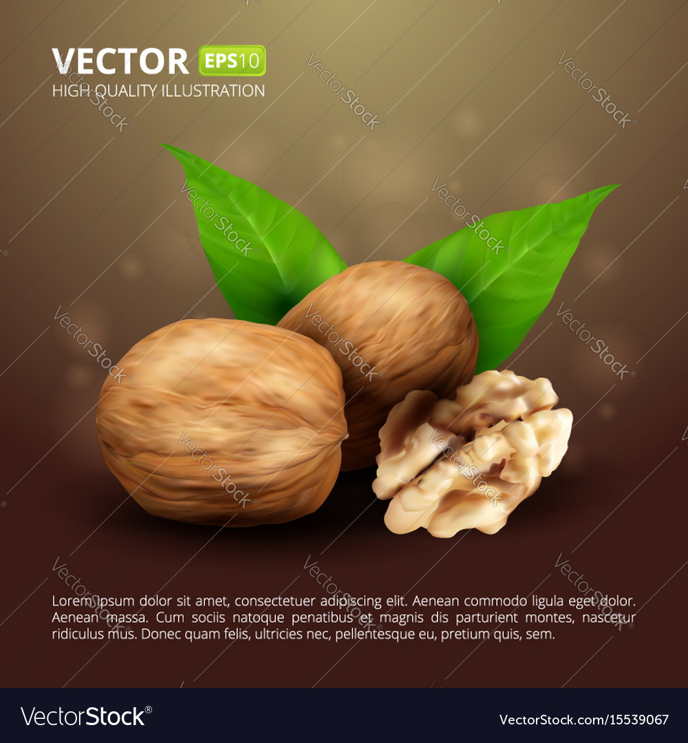 Realistic walnuts with leaves on brown background Vector Image Realistic walnuts with leaves on brown background Vector Image