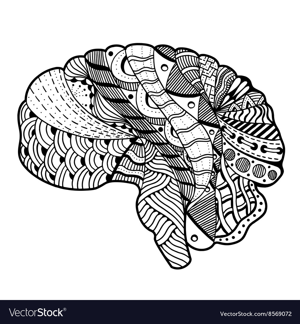 Human brain doodle Royalty Free Vector Image - VectorStock