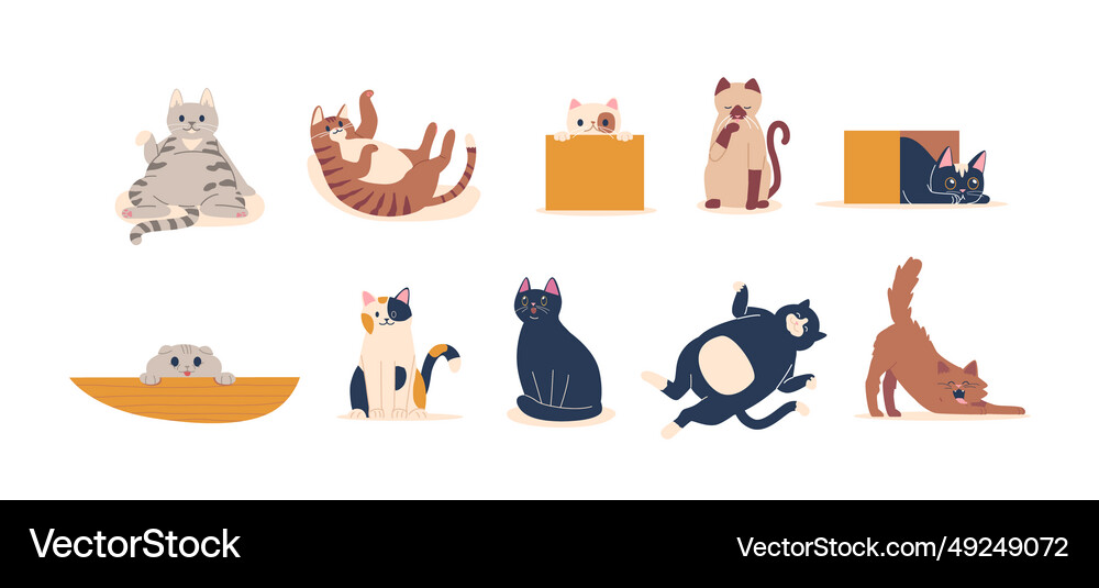 Playful mischievous cats with quirky expressions Vector Image