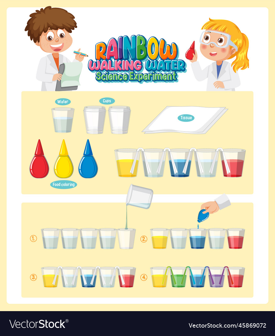 Rainbow walking water science experiment Vector Image