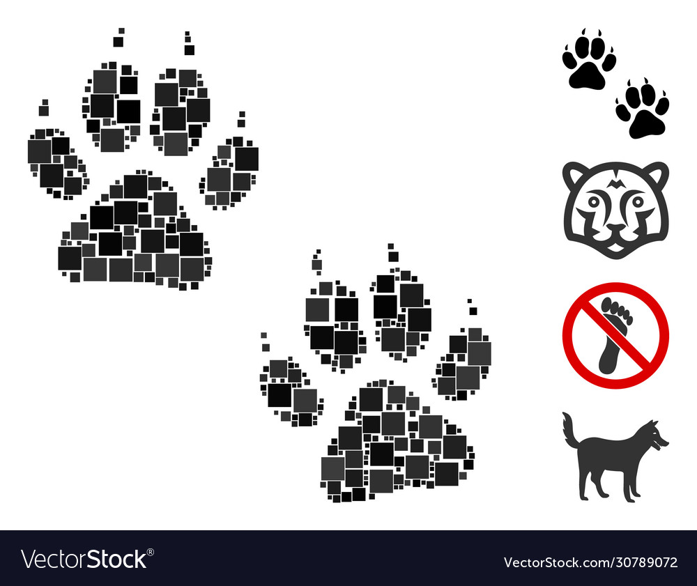 Tiger Footprint Logo Page 3 | Tiger Footprint Vector Art, Icons, And