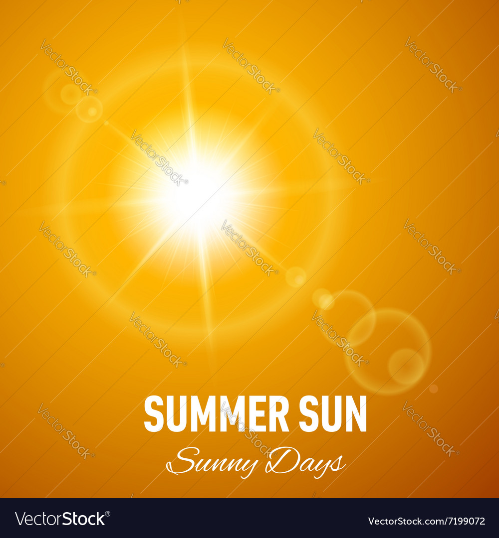 Sunny background Royalty Free Vector Image - VectorStock