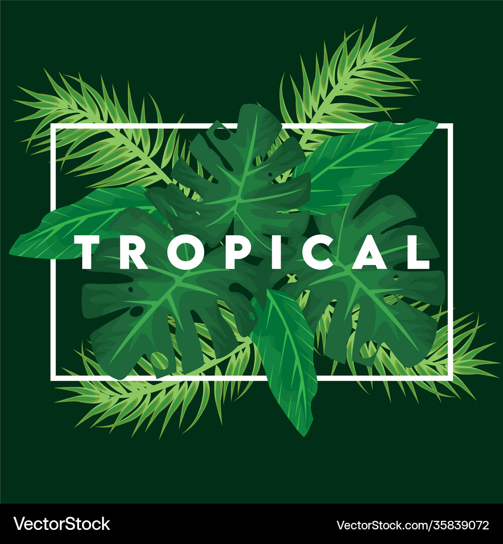 Tropical lettering poster with green leafs Vector Image