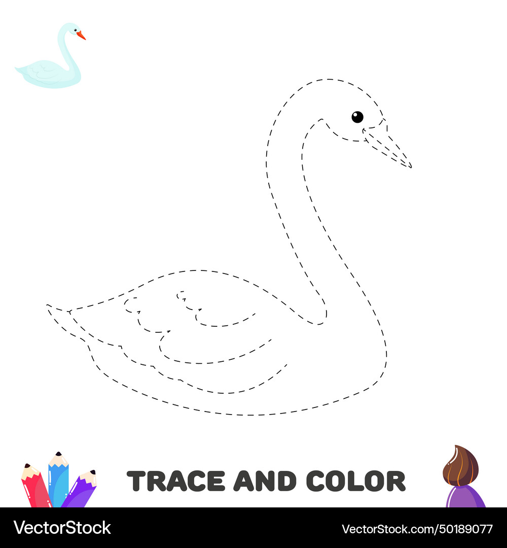 Trace swan coloring educational page for kids Vector Image