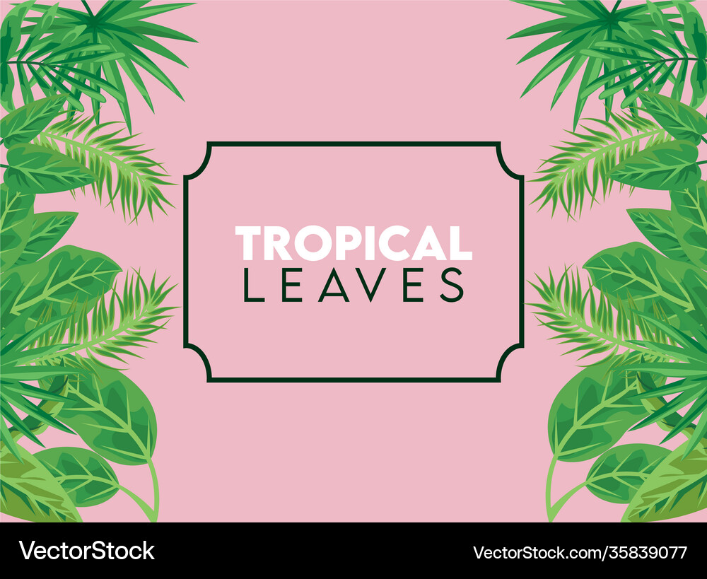 Tropical leaves lettering poster with leafs Vector Image
