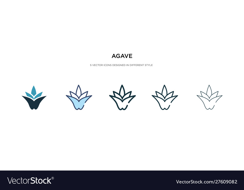 Agave Icon Set - Diverse Styles Royalty Free Vector Image