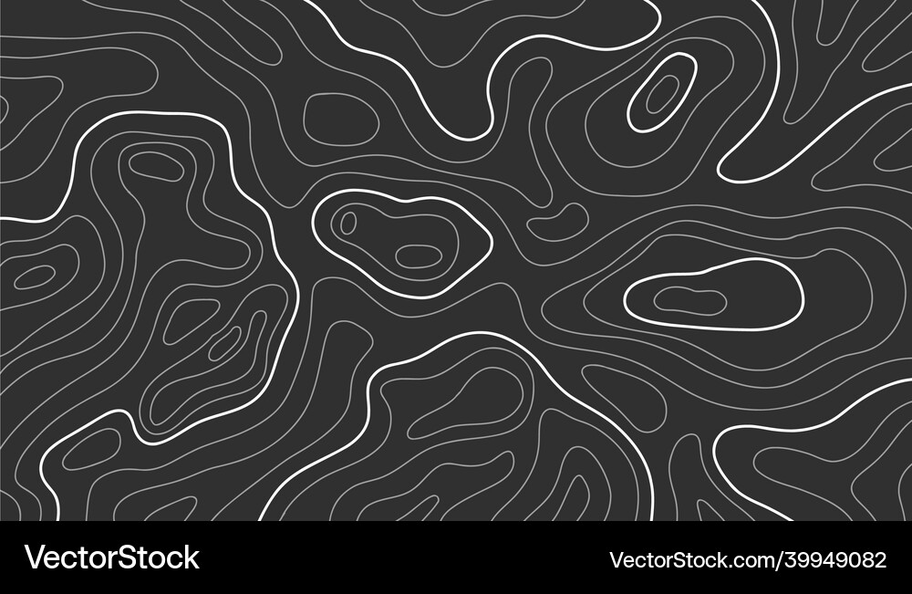 Topographic map lines topology outline contour Vector Image