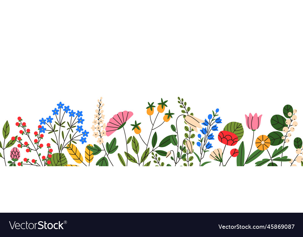 Blooming wild field flowers decorative border Vector Image