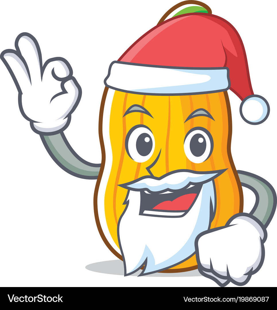 Santa butternut squash mascot cartoon Royalty Free Vector