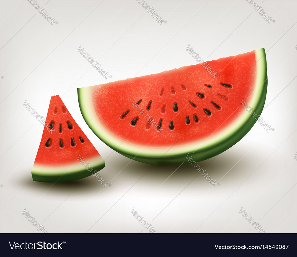 Watermelon Royalty Free Vector Image - VectorStock