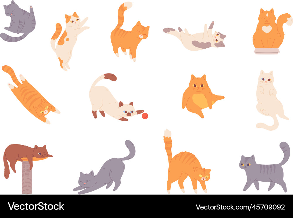 Cat behavior feline poses cartoon cats Royalty Free Vector