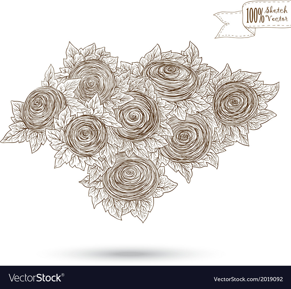 Sketch of roses Royalty Free Vector Image - VectorStock