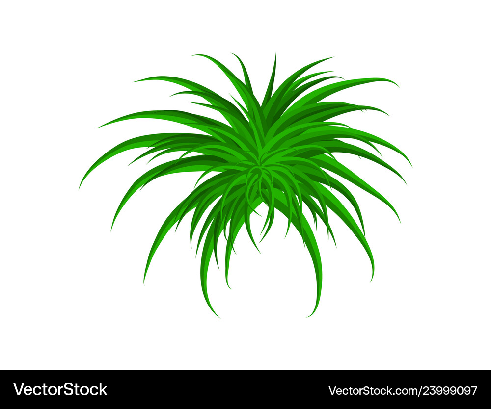 Grass symbol icon design beautiful isolated Vector Image