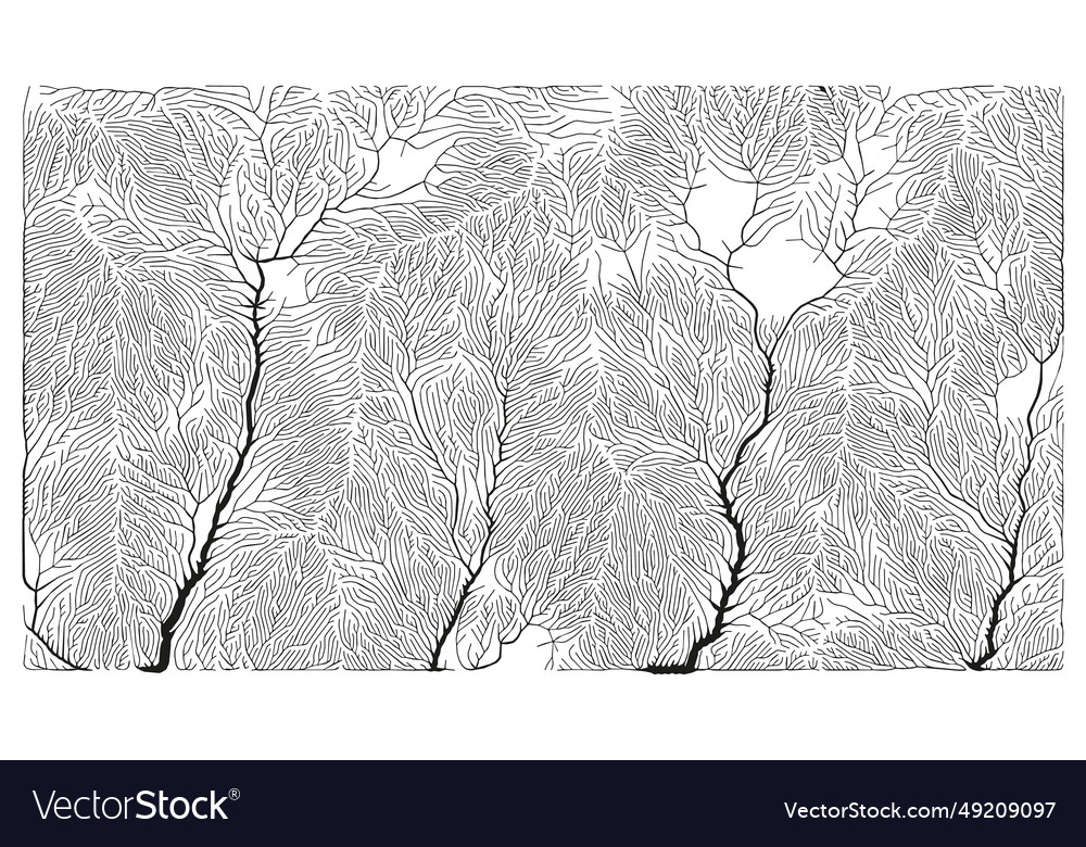 Growth pattern generative branching structure Vector Image