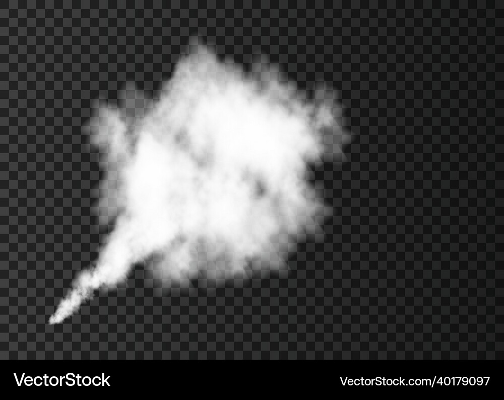 White smoke burst isolated on transparent Vector Image