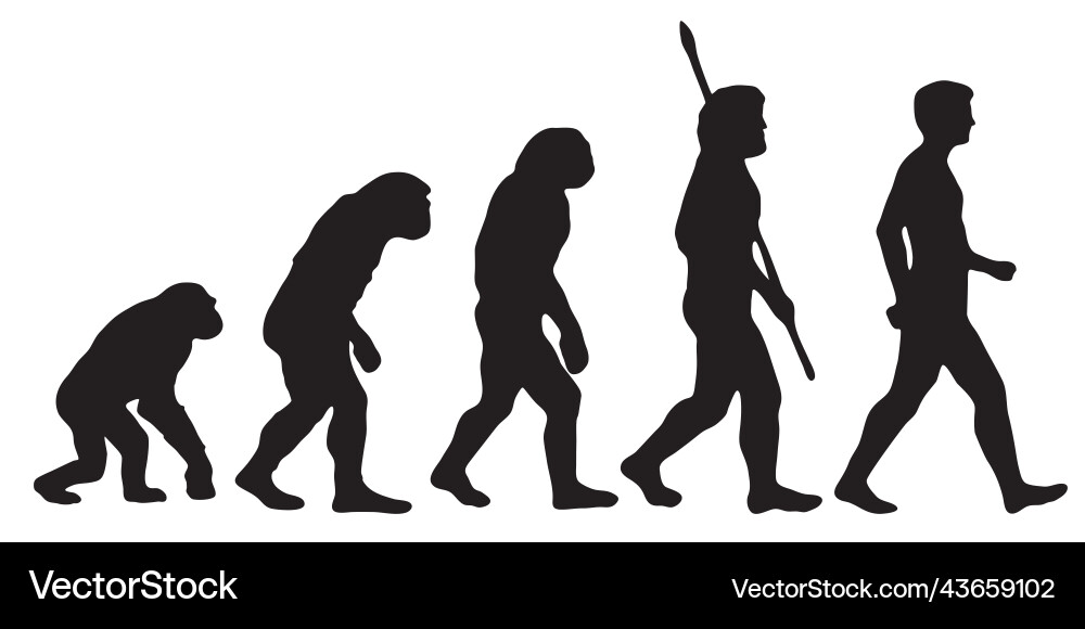 Darwins evolution of the human silhouettes Vector Image
