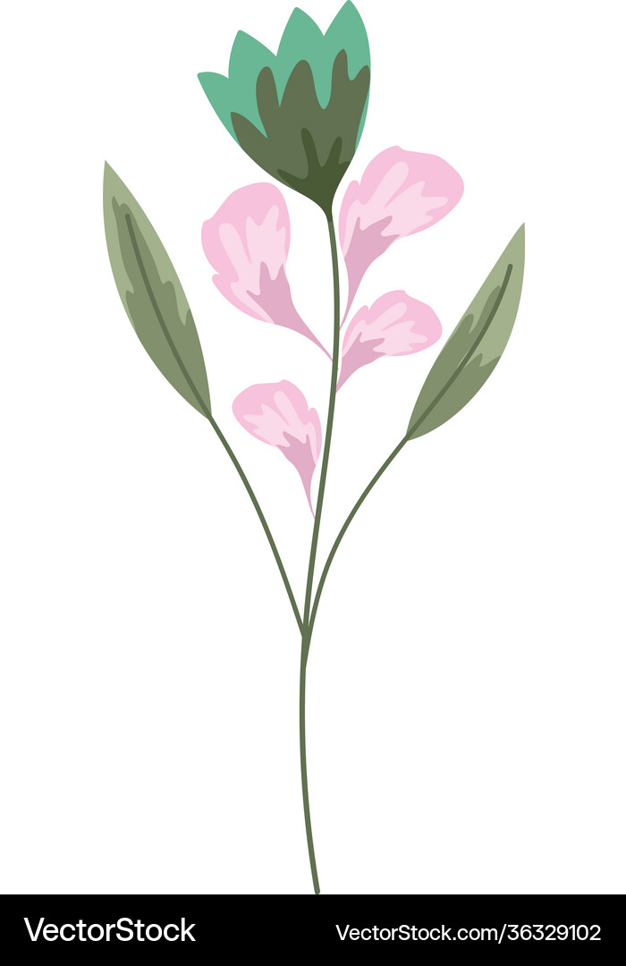 Flower petals and leaves decoration white Vector Image