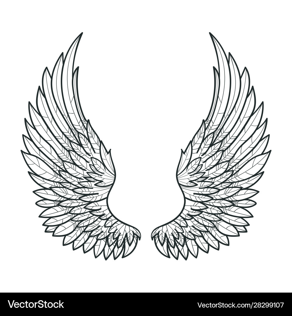 A pair wings hand drawn black and white Royalty Free Vector