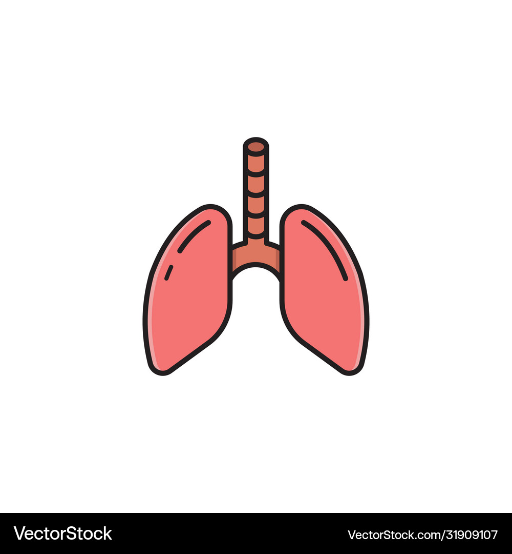 Human lungs icon symbol isolated on white Vector Image