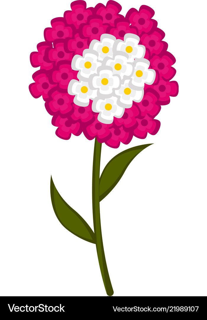 Isolated cute verbena flower icon Royalty Free Vector Image