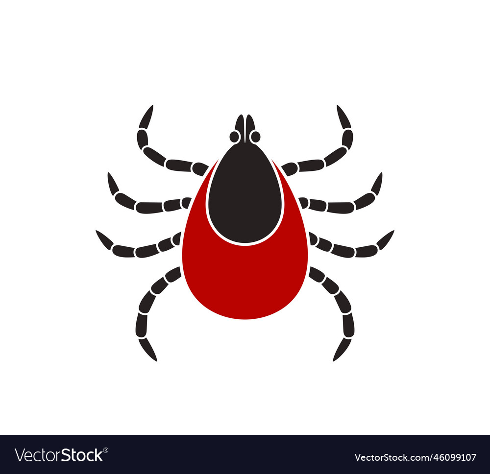 Mite Royalty Free Vector Image - VectorStock