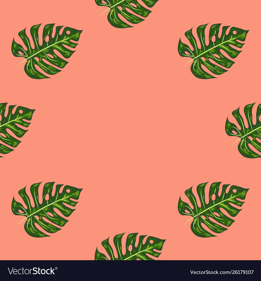 Seamless Pattern Leaves Monstera Tropical Vector Image