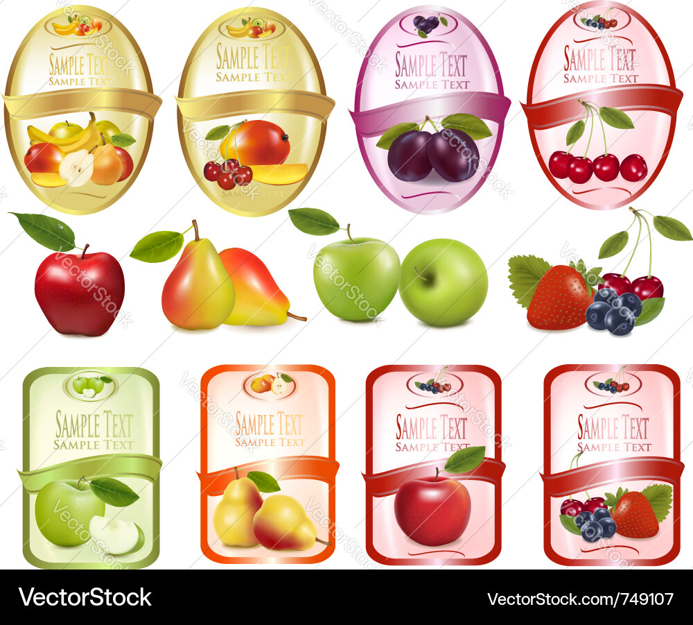 Set of labels with berries and fruit Royalty Free Vector