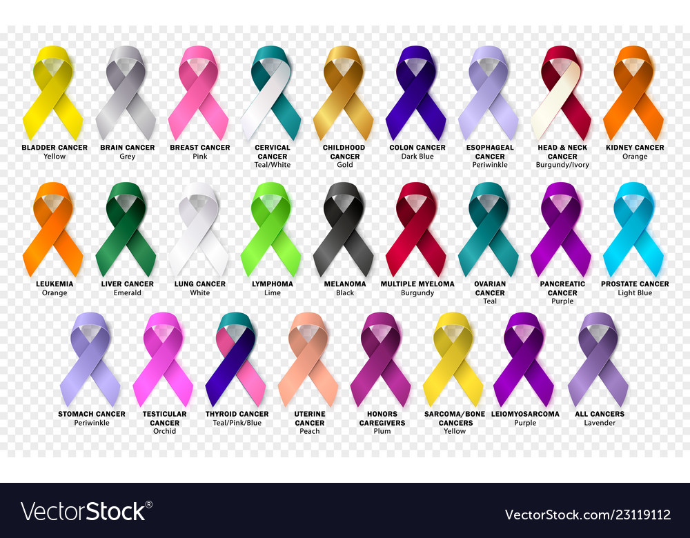 Set Ribbon All Cancers Cancer Awareness Ribbons Vector Image