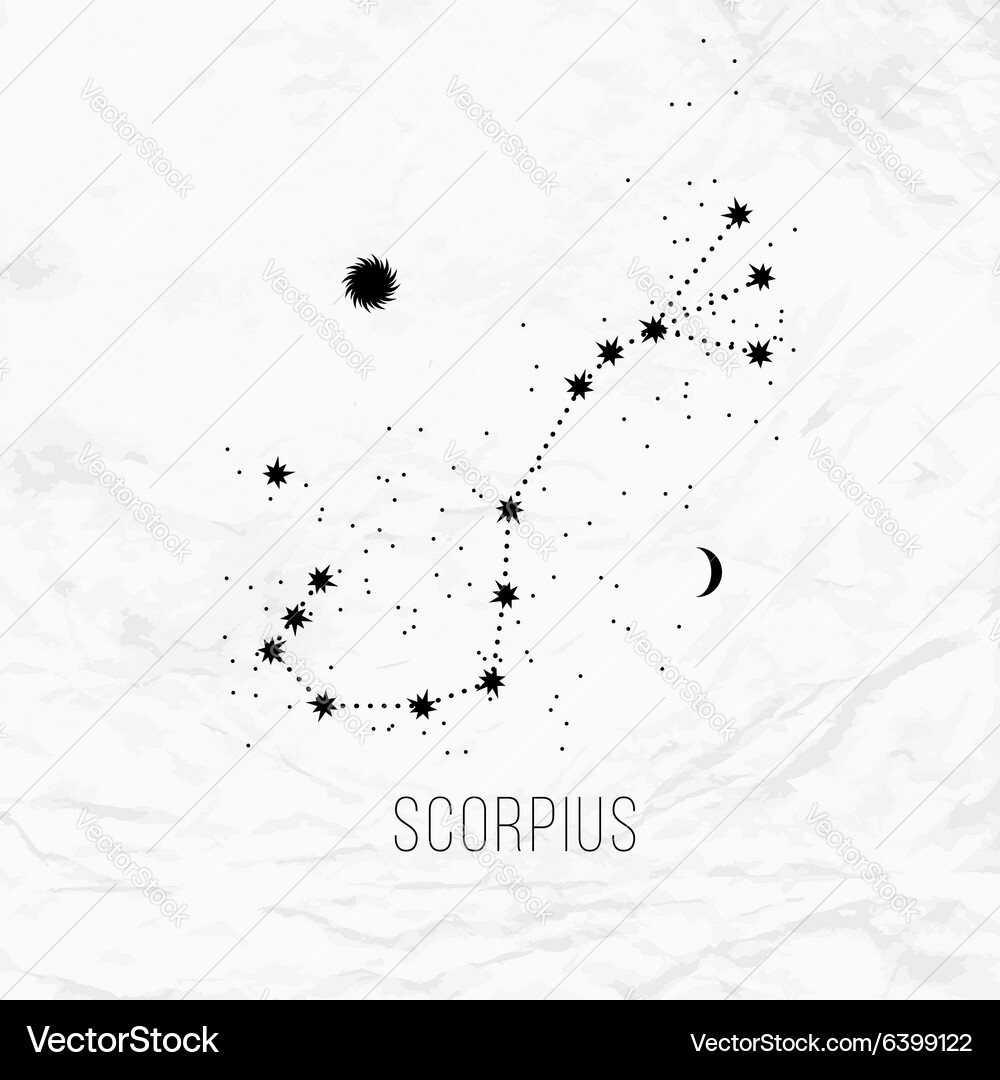 Astrology sign scorpius on white paper background Vector Image