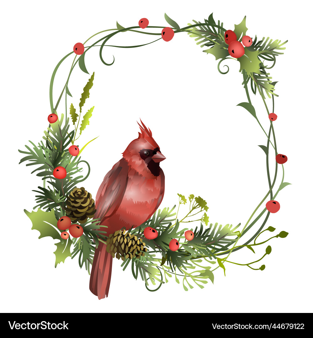 Christmas plant frame with red cardinal bird pine Vector Image