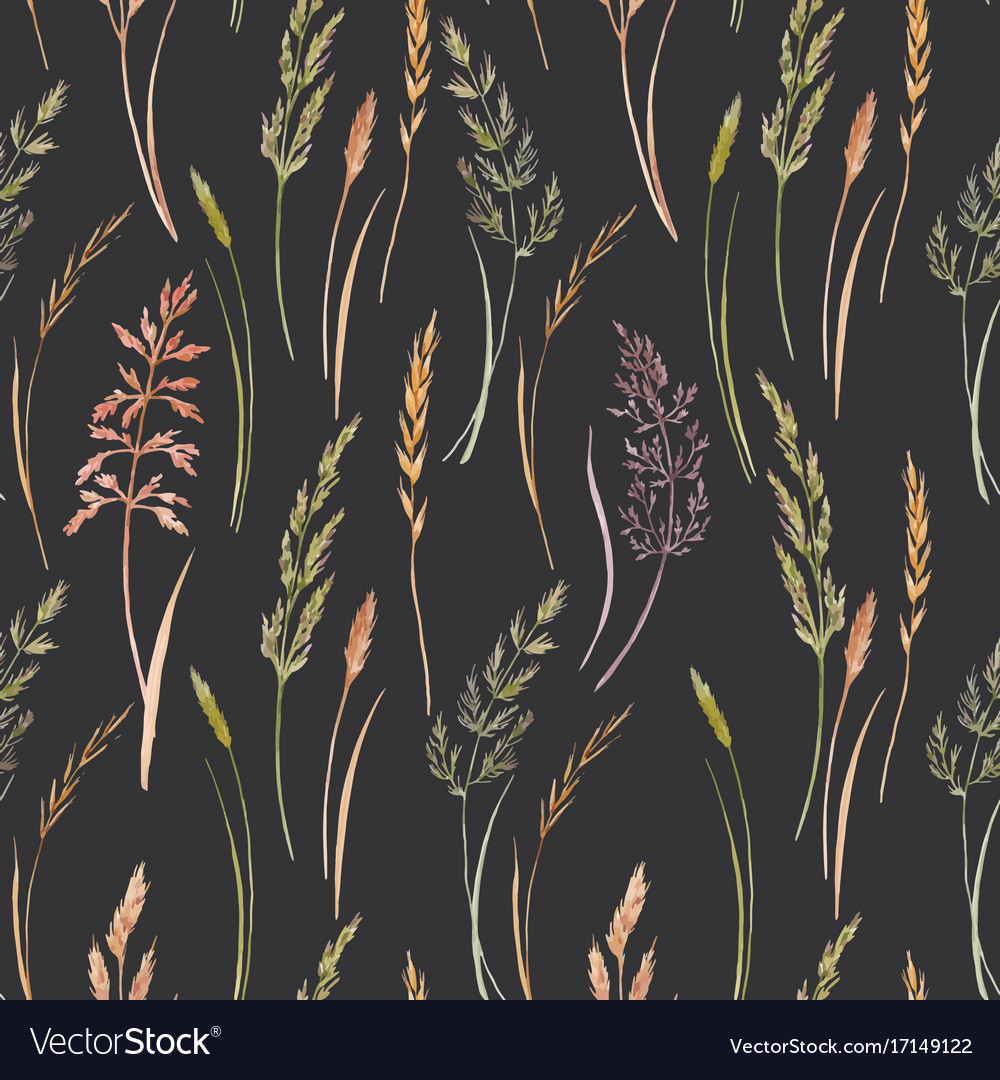 Wild field grass pattern Royalty Free Vector Image