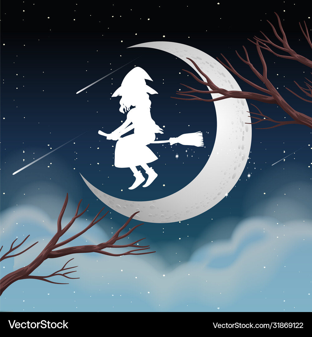 Witch or wizard riding broomstick in silhouetteon Vector Image