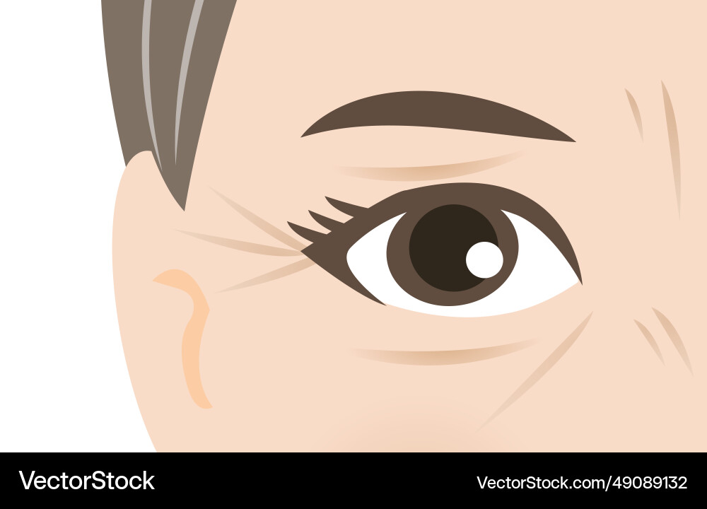 Eye wrinkles on skin around Royalty Free Vector Image