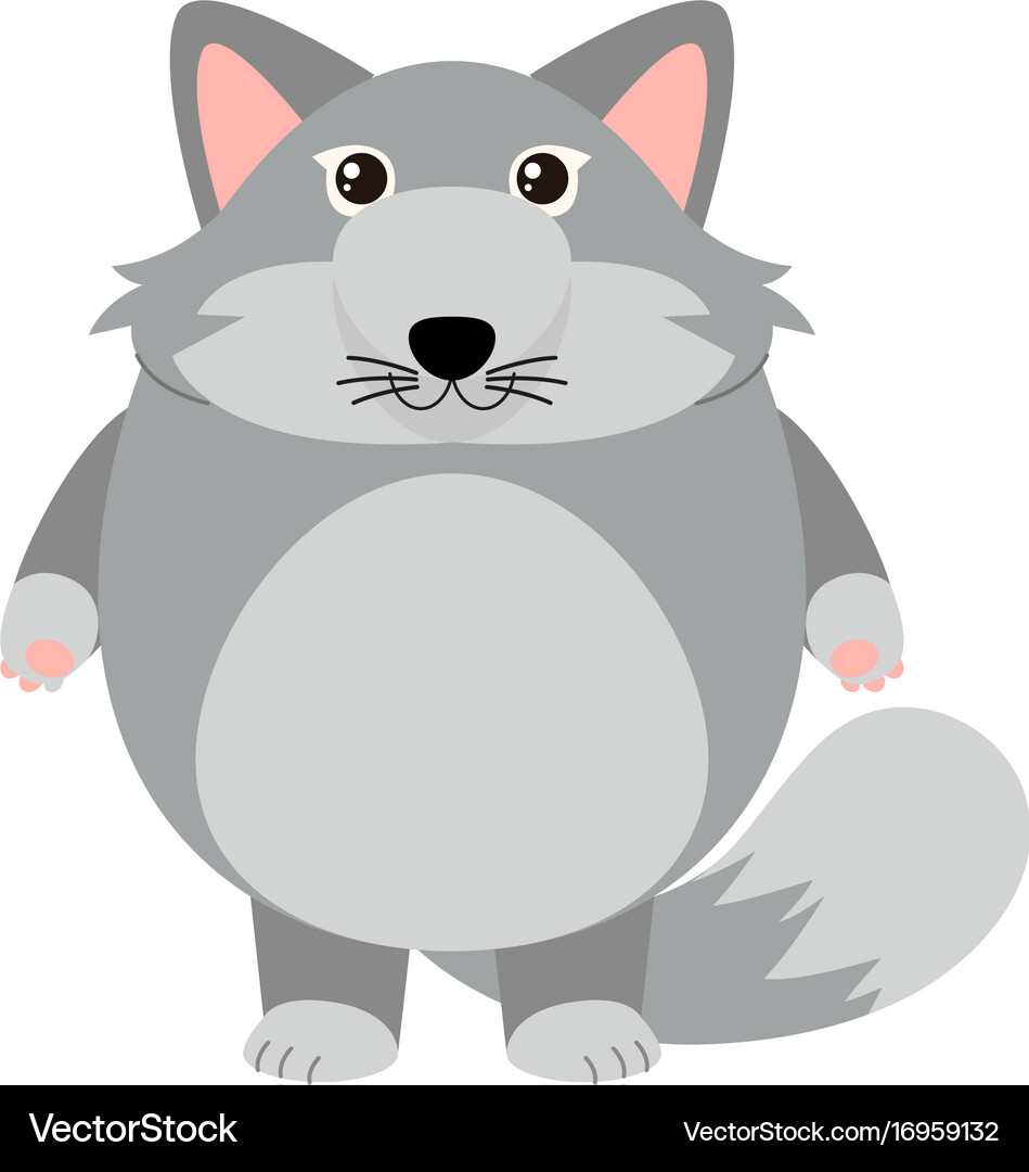 Gray fox on white background Royalty Free Vector Image